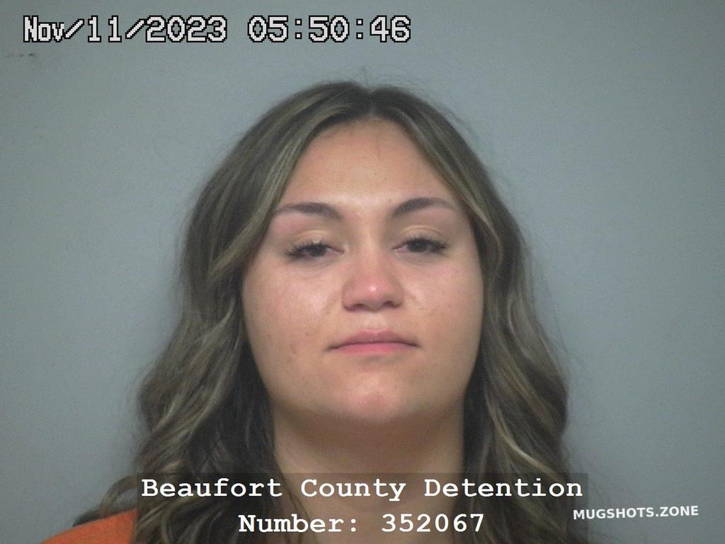 LOGAN ANN JARMAN 11/11/2023 - Beaufort County Mugshots Zone