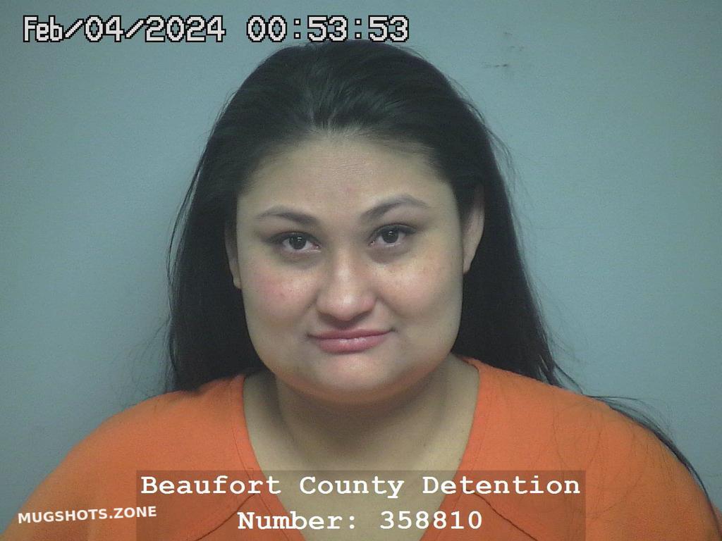 Carmen Maria Espinosa 02 04 2024 Beaufort County Mugshots Zone