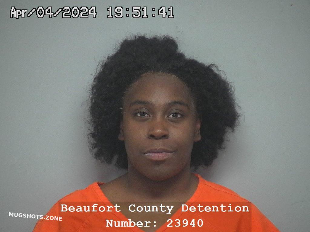 ROBYN LYNNE JOHNSON 04/04/2024 - Beaufort County Mugshots Zone