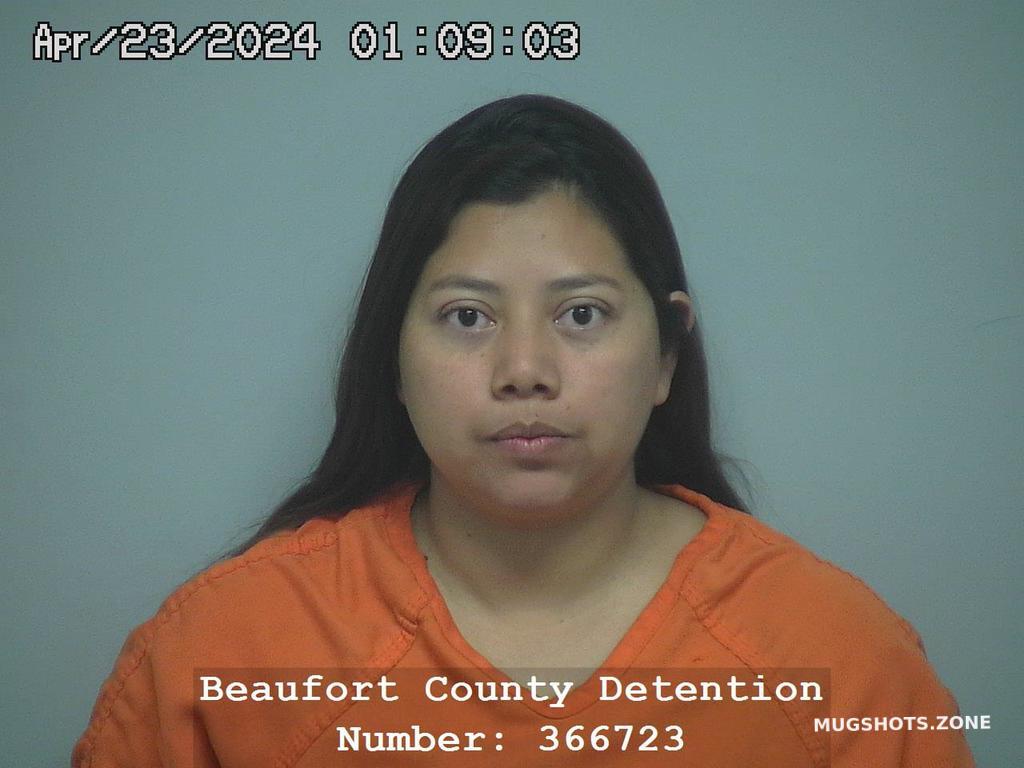 WANDY JOSEFA ORTIZ 04/23/2024 - Beaufort County Mugshots Zone