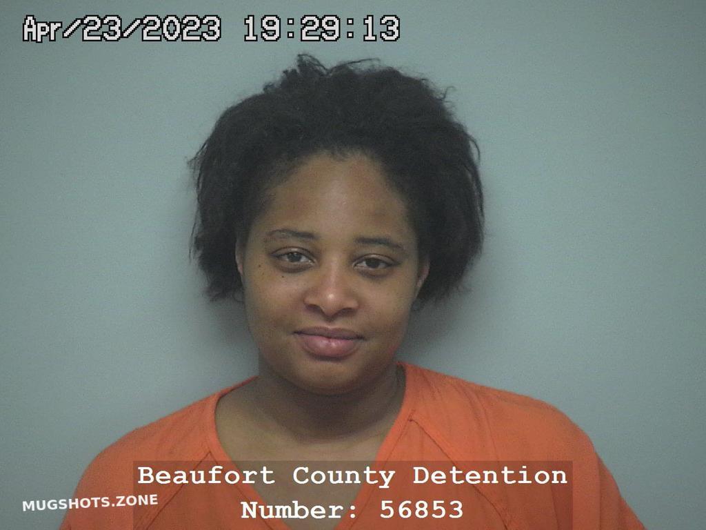 RACHEL LYNETTE COLLINS 08/03/2024 - Beaufort County Mugshots Zone