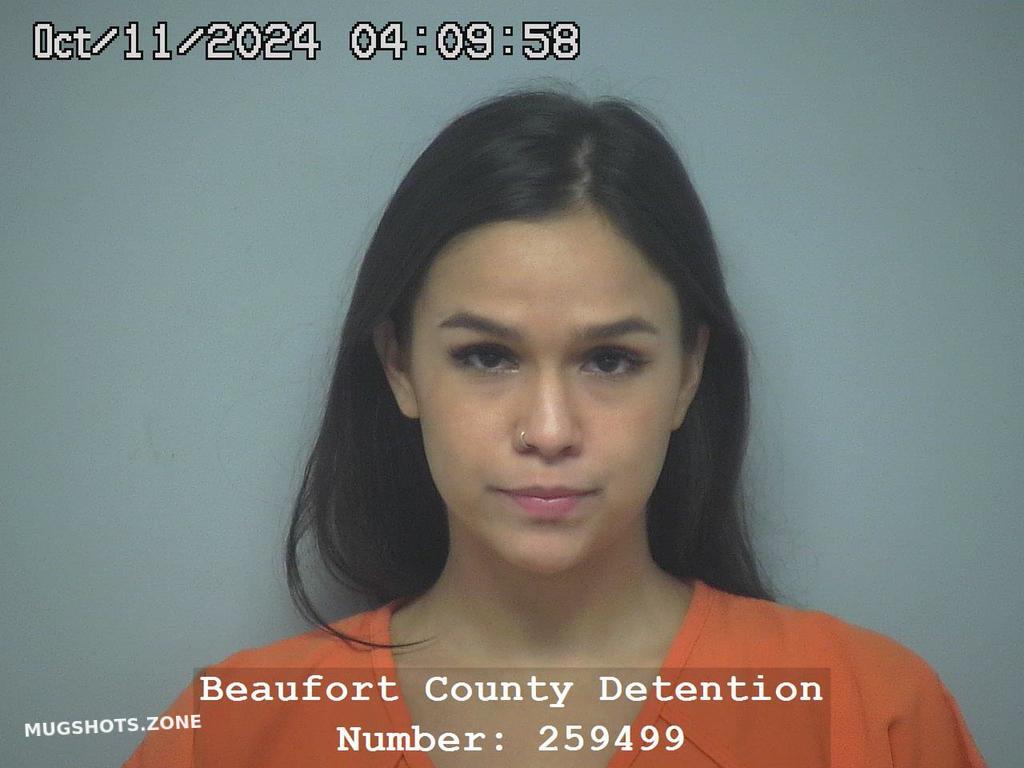 ASHLEY NICOLE RULE-SILVEIRA 10/11/2024 - Beaufort County Mugshots Zone