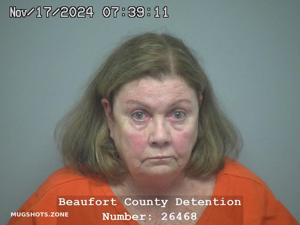PATRICIA ANN WILSON 11/17/2024 - Beaufort County Mugshots Zone