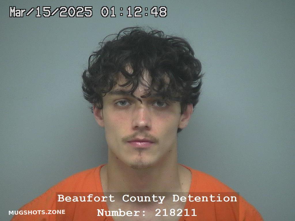 GAVIN JOSIAH DAVID FLEMING 03/15/2025 - Beaufort County Mugshots Zone