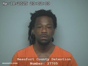 MANDELA NELSON SINGLETON 03/18/2025 - Beaufort County Mugshots Zone