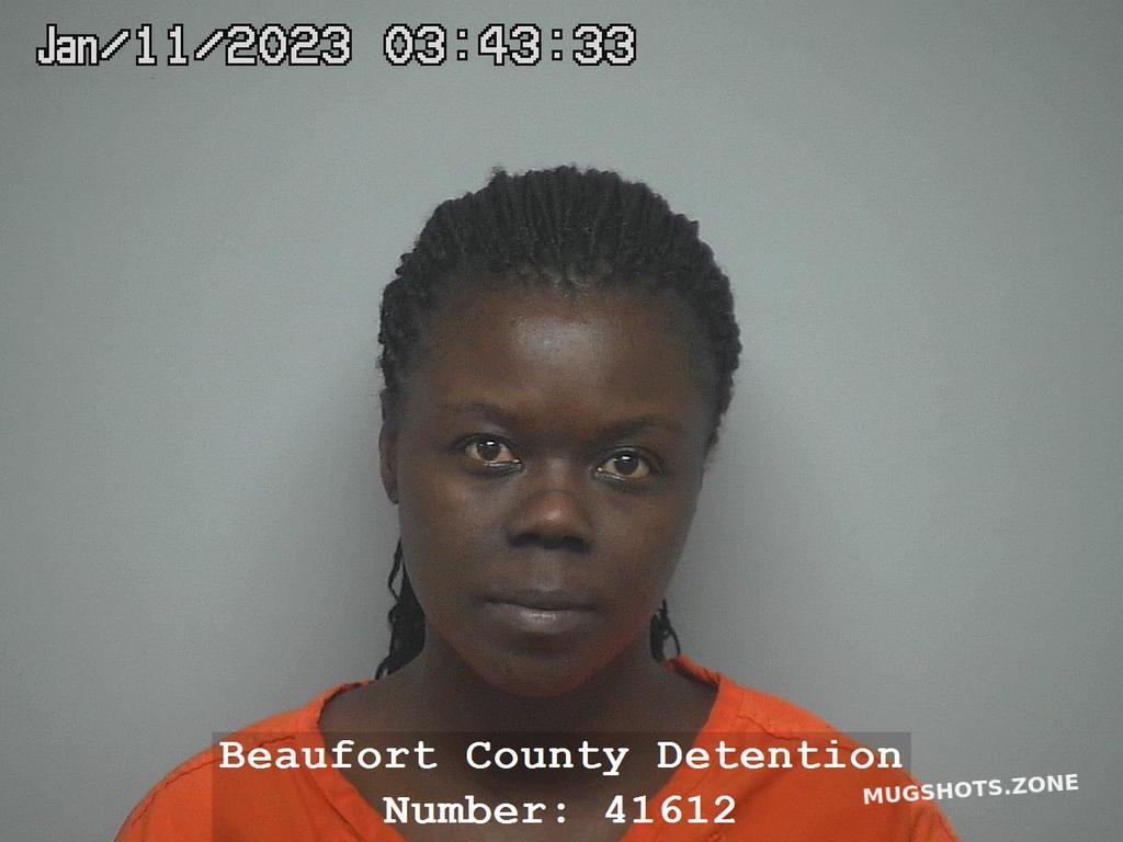 MATISHA ANTIONETTE HARDIN 03/24/2025 - Beaufort County Mugshots Zone