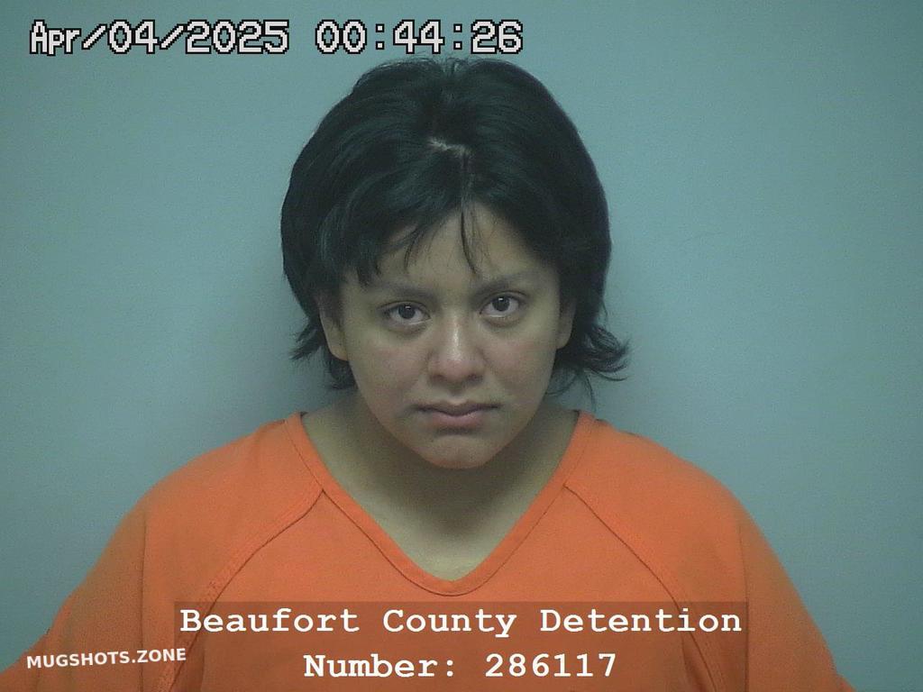 MARIA JOY FORREST 04/04/2025 - Beaufort County Mugshots Zone