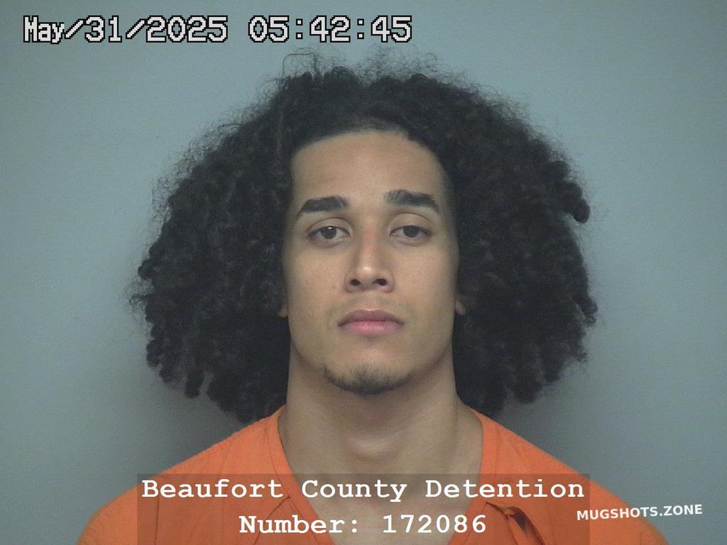 WILLIAM JOSUE DIAZ-GARCIA 05/31/2025 - Beaufort County Mugshots Zone