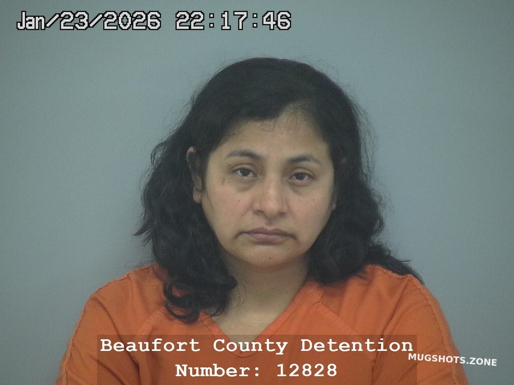 GUILLERMINA CHAVEZ CHAVEZ-HERNANDEZ 01/23/2026 - Beaufort County ...