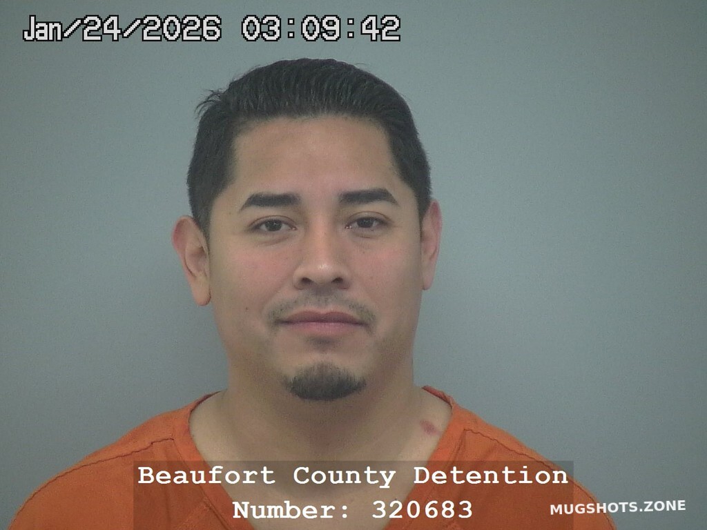 MARIO ALBERTO CHAVEZ LEDEZMA 01/24/2026 - Beaufort County Mugshots Zone