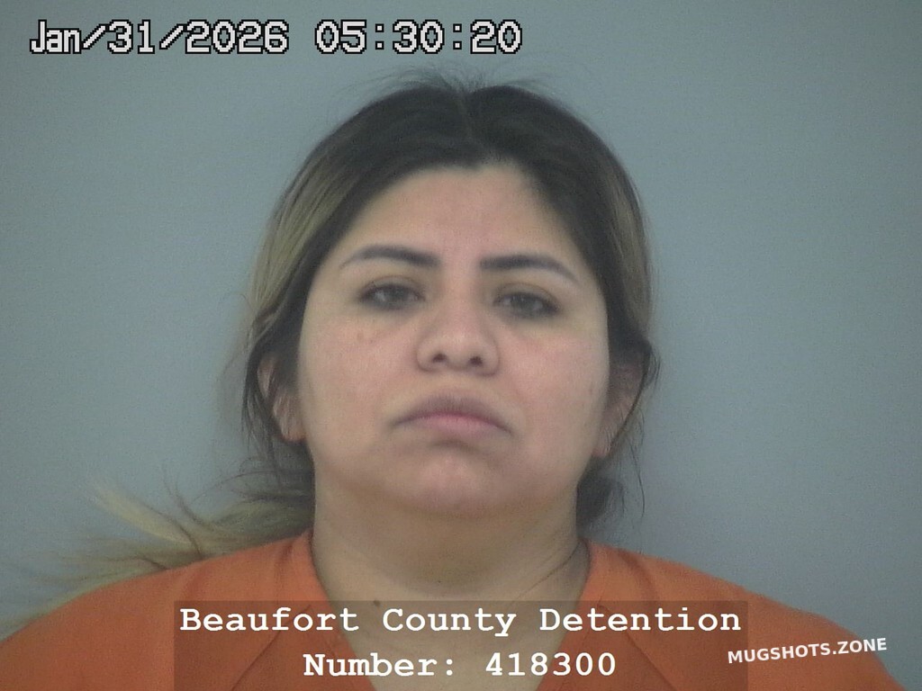 ISAMAR CASTILLO GALINDO 01/31/2026 - Beaufort County Mugshots Zone