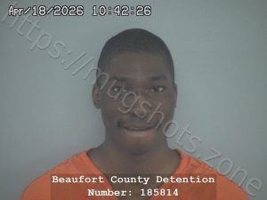 JAKHI JOEL JOHNSON 04/18/2026 - Beaufort County Mugshots Zone