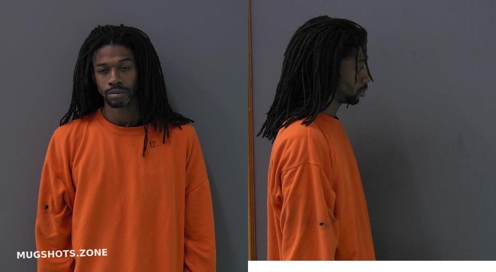 LANE DEREK LEE 03/23/2022 - Bell County Mugshots Zone
