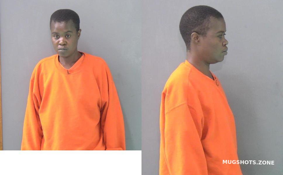 JOHNSON KAPPA CHAMBREA 08/26/2022 - Bell County Mugshots Zone