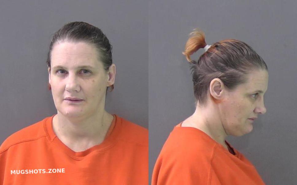 CASE SHANNON LYNN 10/20/2022 - Bell County Mugshots Zone