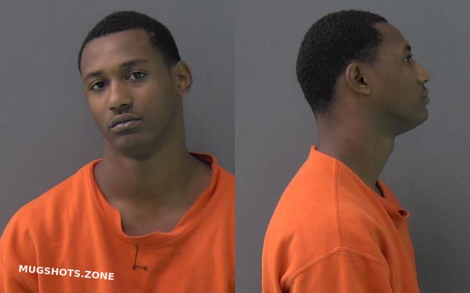 WILLIAMS TRAVION MONTRAY 11/19/2022 - Bell County Mugshots Zone