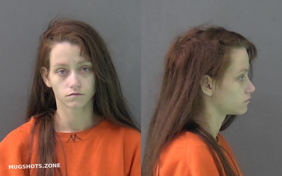 HOLLIS JAMI NICOLE 02/16/2023 - Bell County Mugshots Zone