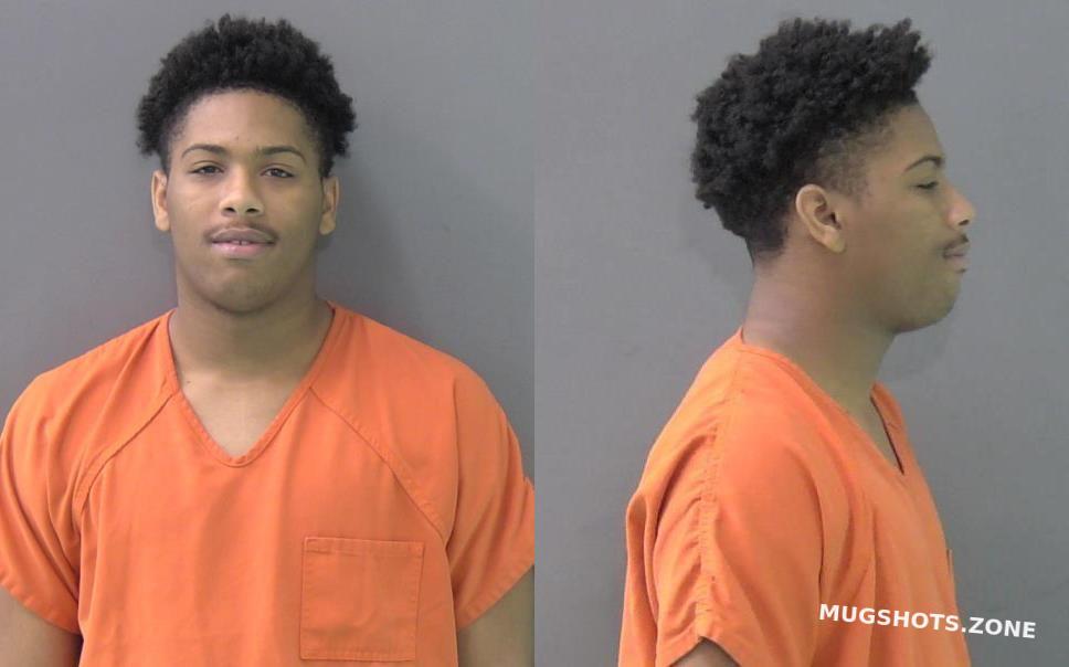 LEE FAYLIN NATHANIEL 04/12/2023 - Bell County Mugshots Zone