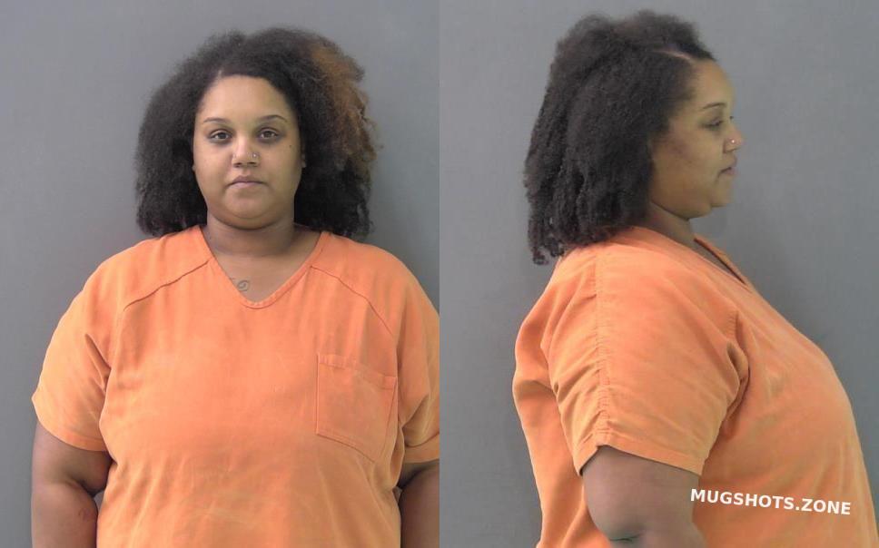 LEE-GOLDEN RAVEN CHEYENNE 05/02/2023 - Bell County Mugshots Zone