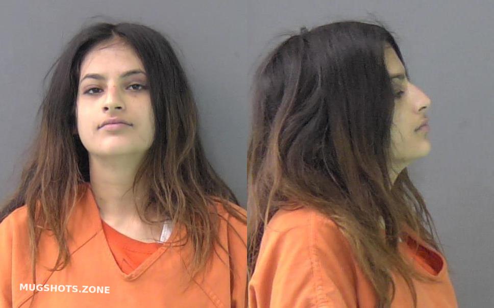 REYNA ANGELITA NICOLE 06/02/2023 - Bell County Mugshots Zone