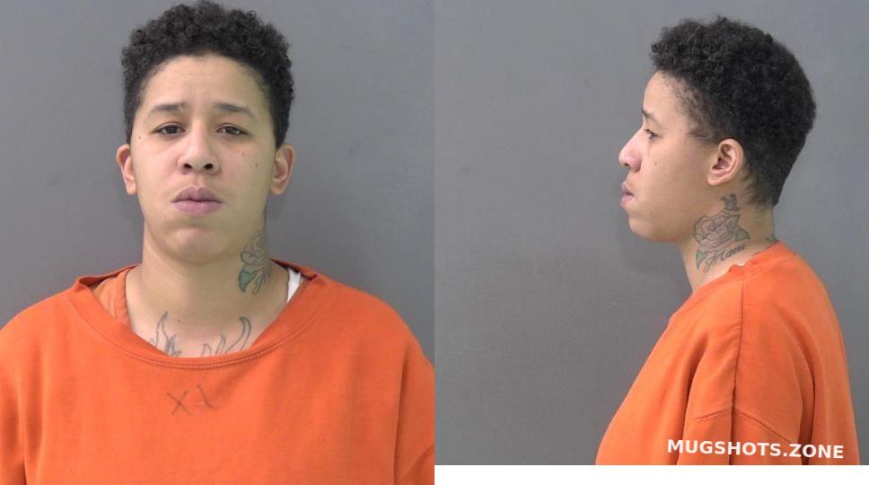 RAMIREZ TARA MONIQUE 06/08/2023 - Bell County Mugshots Zone