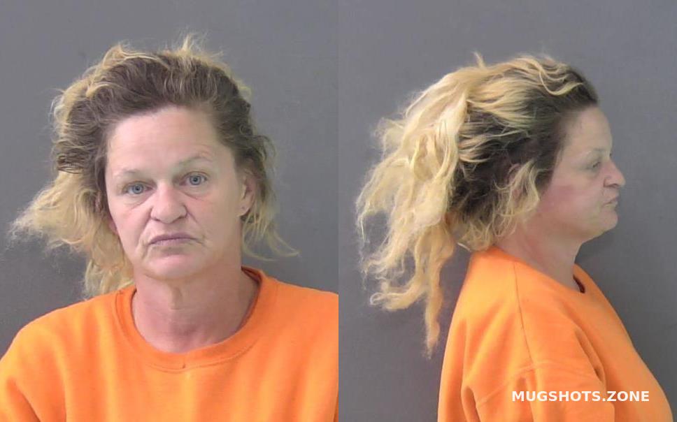 COBB DEBRA SUE 07/13/2023 - Bell County Mugshots Zone