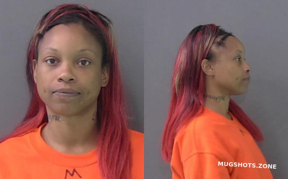 MORALES PENNY 08/18/2023 - Bell County Mugshots Zone