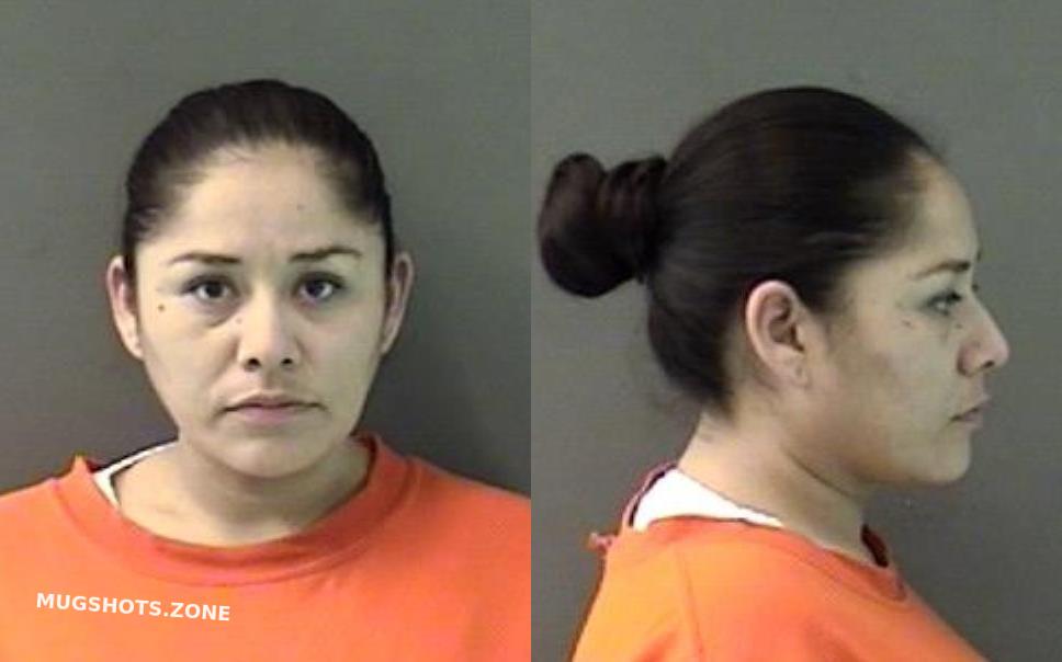 CASTILLO ELSA MARISOL 09/01/2023 - Bell County Mugshots Zone