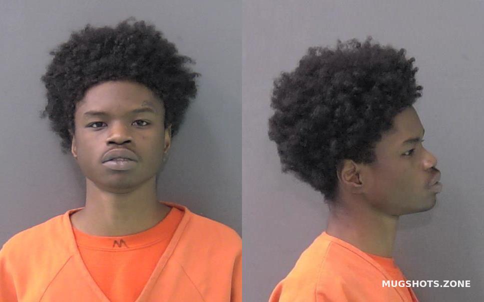 WILLIAMS REGINALD PAUL 10/23/2023 - Bell County Mugshots Zone