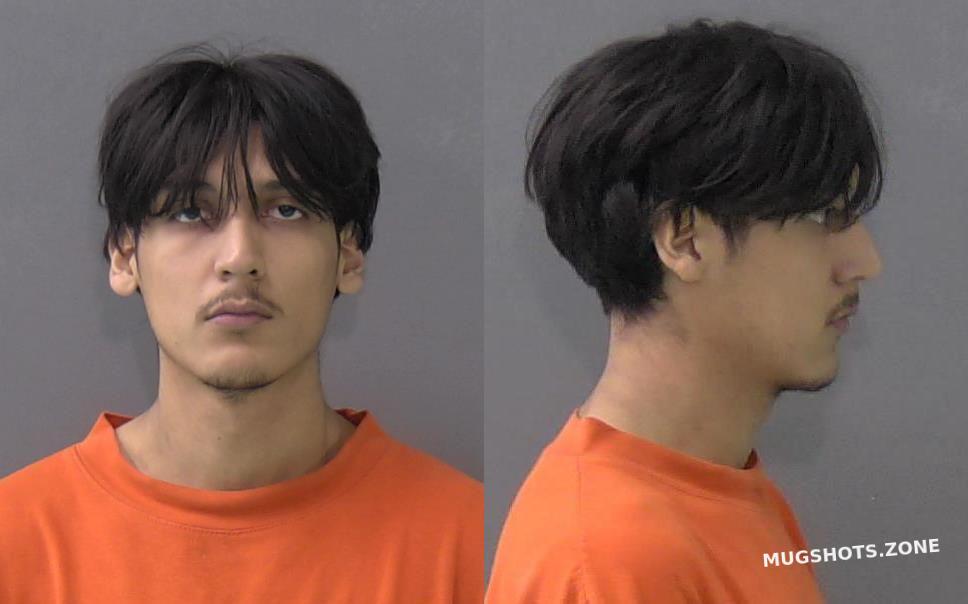 VENCES VACA ERIC 11/13/2023 - Bell County Mugshots Zone