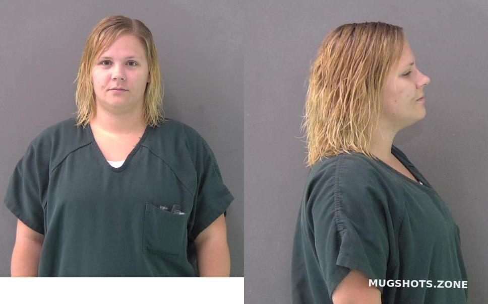 DAVIS BRITTANY ALISE 11/17/2023 - Bell County Mugshots Zone
