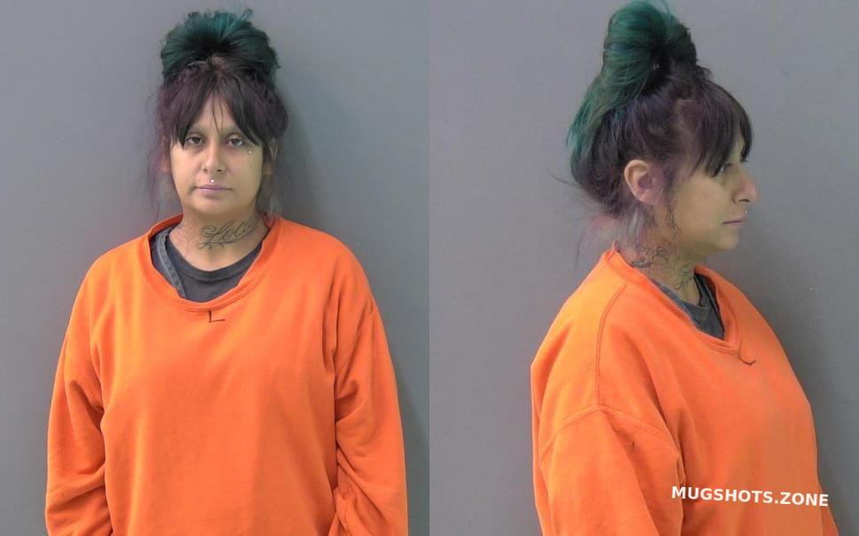 REYES AMANDA ALEXIS 12/29/2023 - Bell County Mugshots Zone