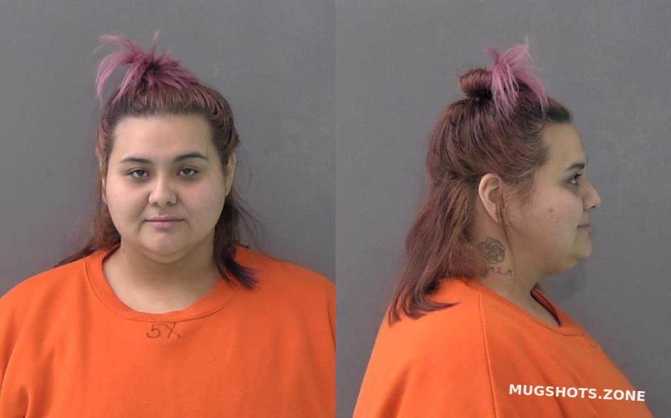 GUERRA CHRISTAL 01/02/2024 - Bell County Mugshots Zone