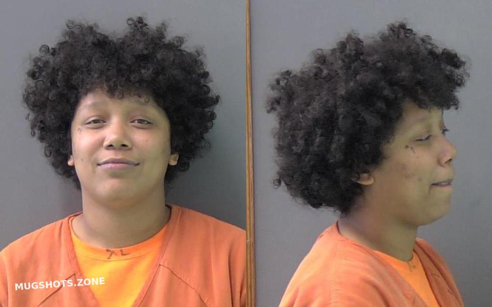JONES CHELSEA MALEEK 01/25/2024 - Bell County Mugshots Zone