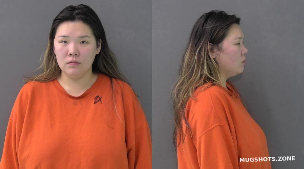 VAIL SARANGOO 02/09/2024 - Bell County Mugshots Zone