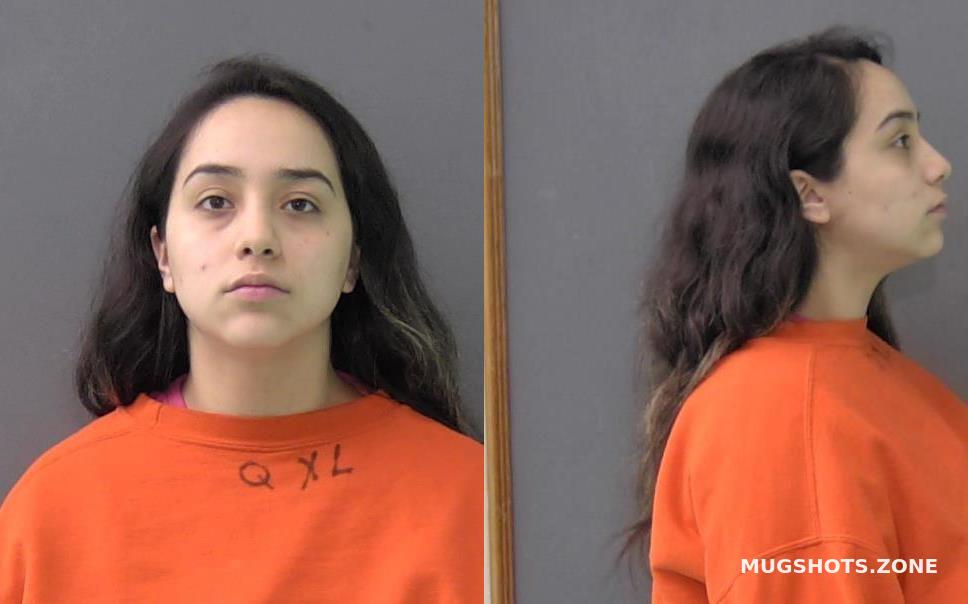 LARA CYNTHIA 02/14/2024 - Bell County Mugshots Zone