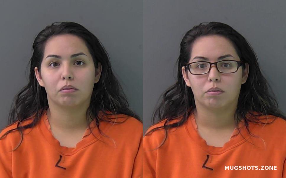 VILLARREAL SELENA MARIE 02/16/2024 - Bell County Mugshots Zone