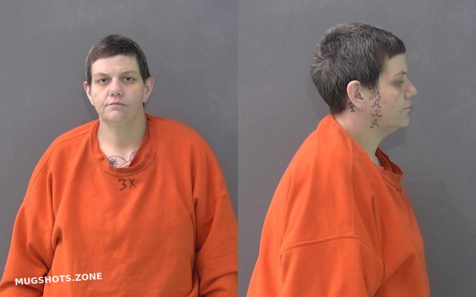 PATTON ASHLEY NOELLE 02/17/2024 - Bell County Mugshots Zone
