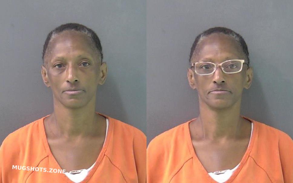 CARRILLO SONYA 04/21/2024 - Bell County Mugshots Zone