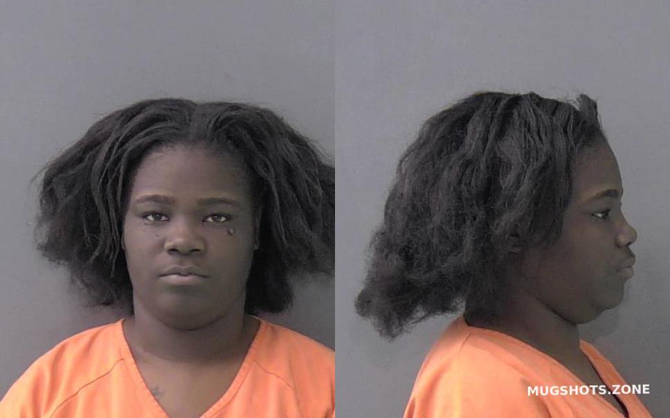 MATHIS PRESTONAE WAYNEQU 04/24/2024 - Bell County Mugshots Zone