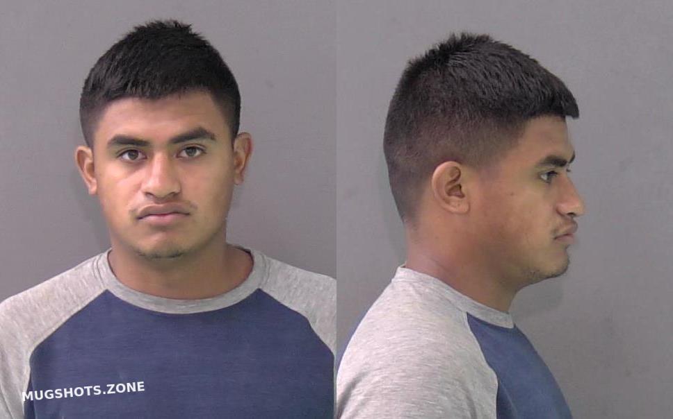 DE LA CRUZ-REVOLORIO DAYAN 05/06/2024 - Bell County Mugshots Zone