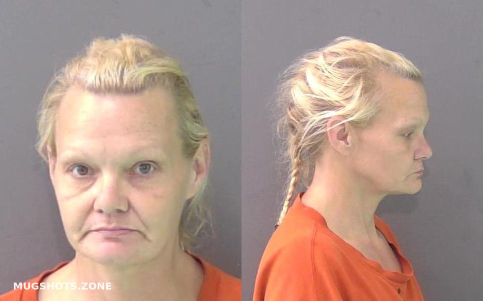 BROWN JAMIE LYNN 06/27/2024 - Bell County Mugshots Zone