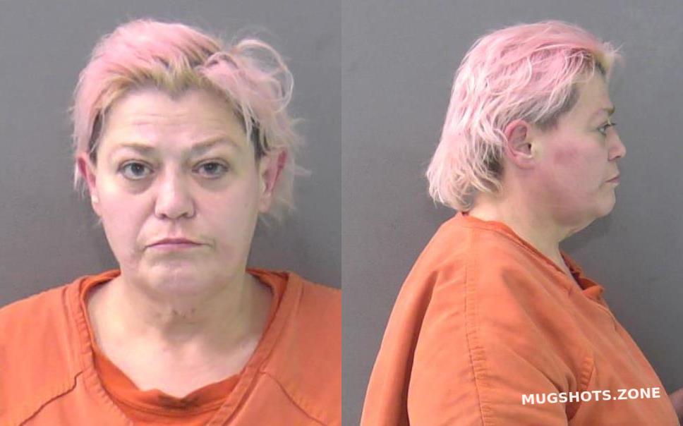 DAVIS ERIKA DAWN 07/09/2024 - Bell County Mugshots Zone