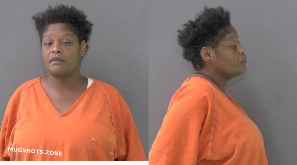 RAYMOND BONITA RENEE 07/14/2024 - Bell County Mugshots Zone