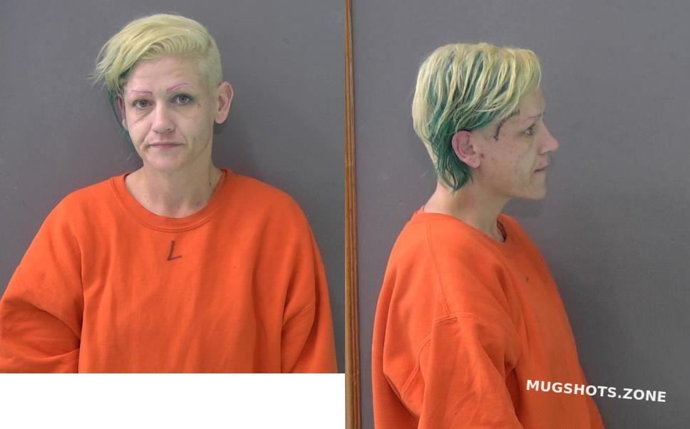 CAFFY LISA RENEA 07/23/2024 - Bell County Mugshots Zone