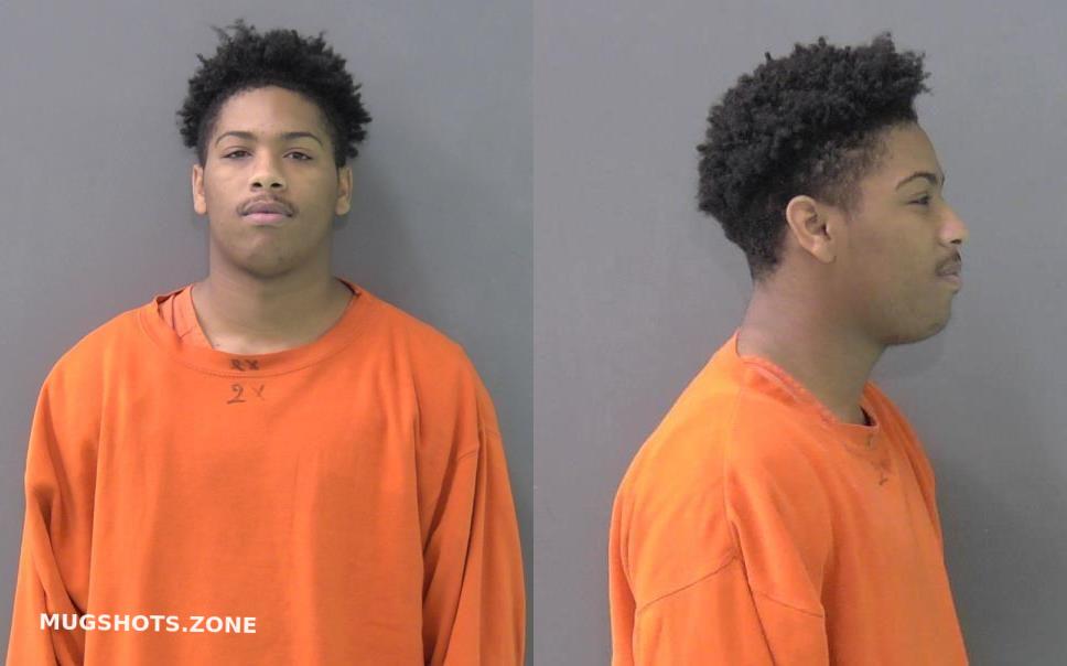 Lee Faylin Nathaniel 07 28 2024 Bell County Mugshots Zone