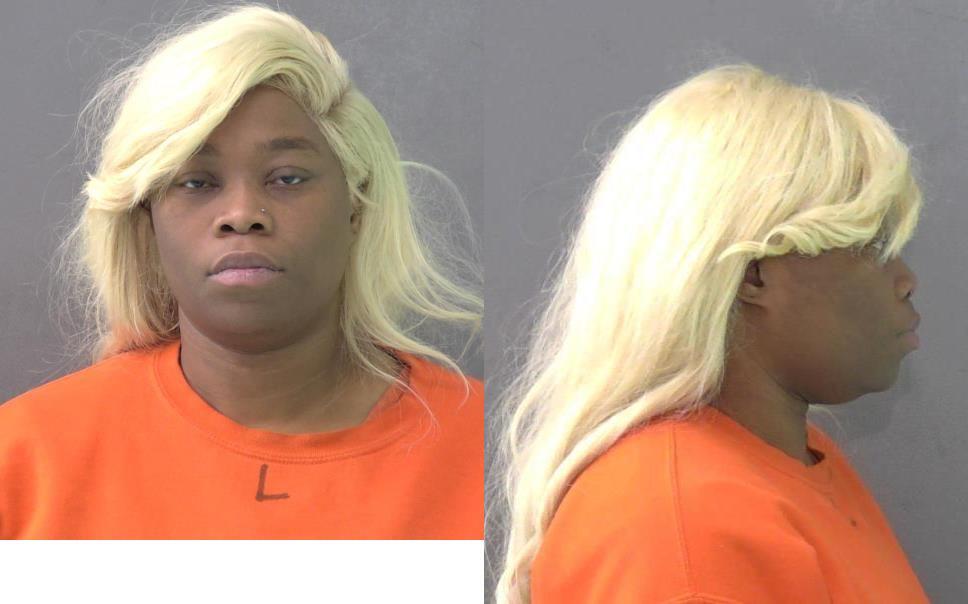 BUSH ERICA 08/03/2024 - Bell County Mugshots Zone