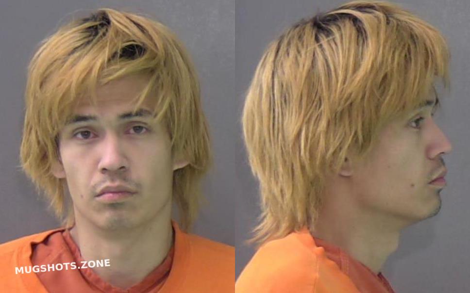 REED RYAN ANTHONY 08/04/2024 - Bell County Mugshots Zone