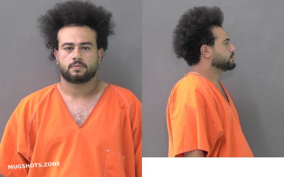 ALY AHMED AYMAN 08/19/2024 - Bell County Mugshots Zone