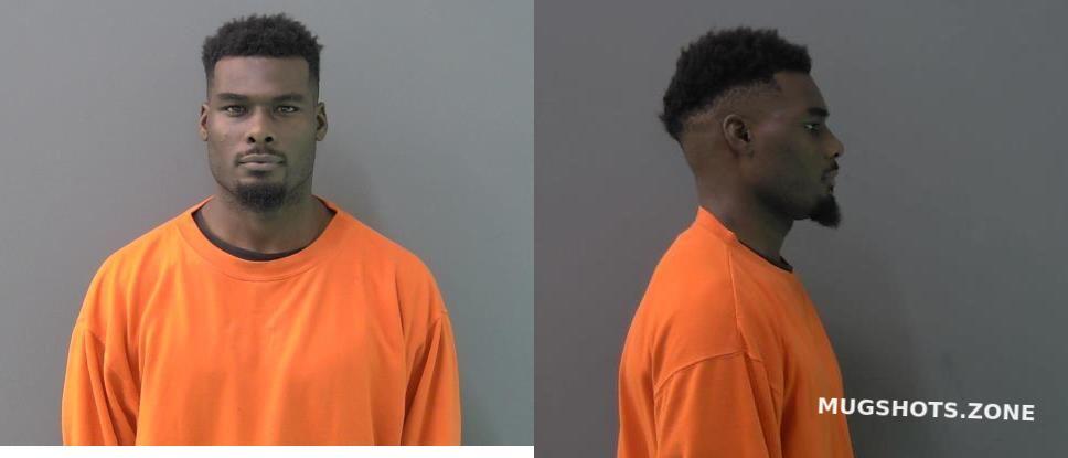 COOK ELWIN ANTHONY JUNIOR 08/24/2024 - Bell County Mugshots Zone